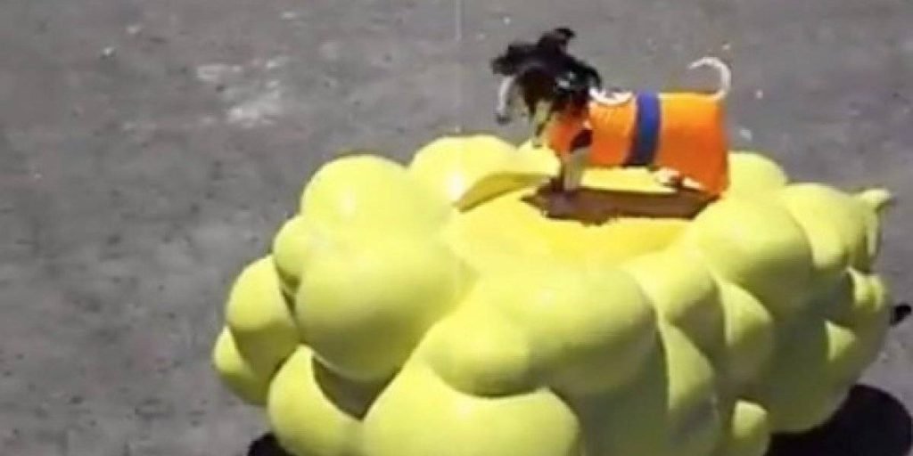 Este es el perro más famoso del día por su original disfraz de Goku ...
