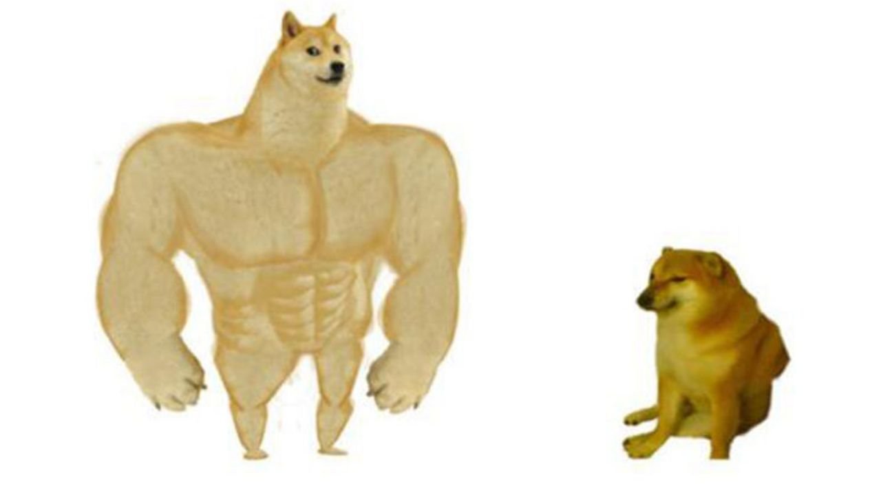 ¿De dónde salió el meme de perro grande y perro chiquito? - Dicomania